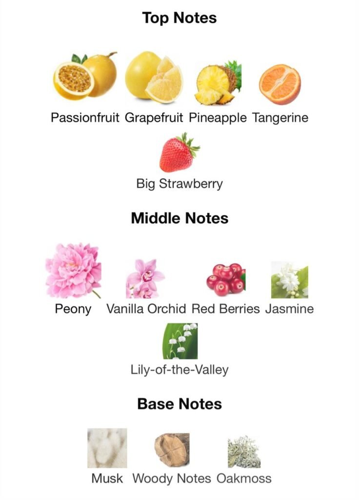 Bombshell pack – alharamainperfumes.in